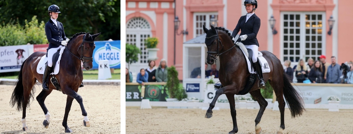 Dressage Movements | Equestrian Australia