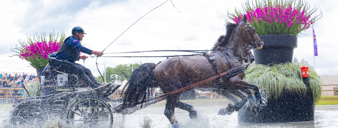 Jumping Rules & Regulations | Equestrian Australia