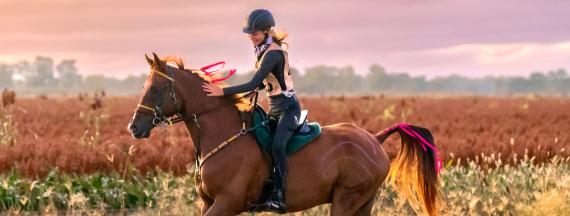 Dressage Rules & Tests | Equestrian Australia