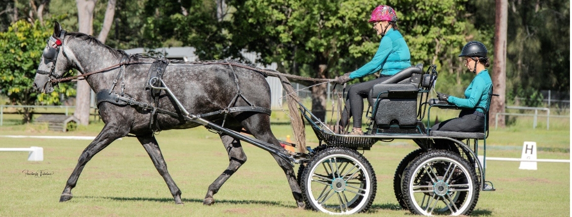 Dressage Rules & Tests | Equestrian Australia