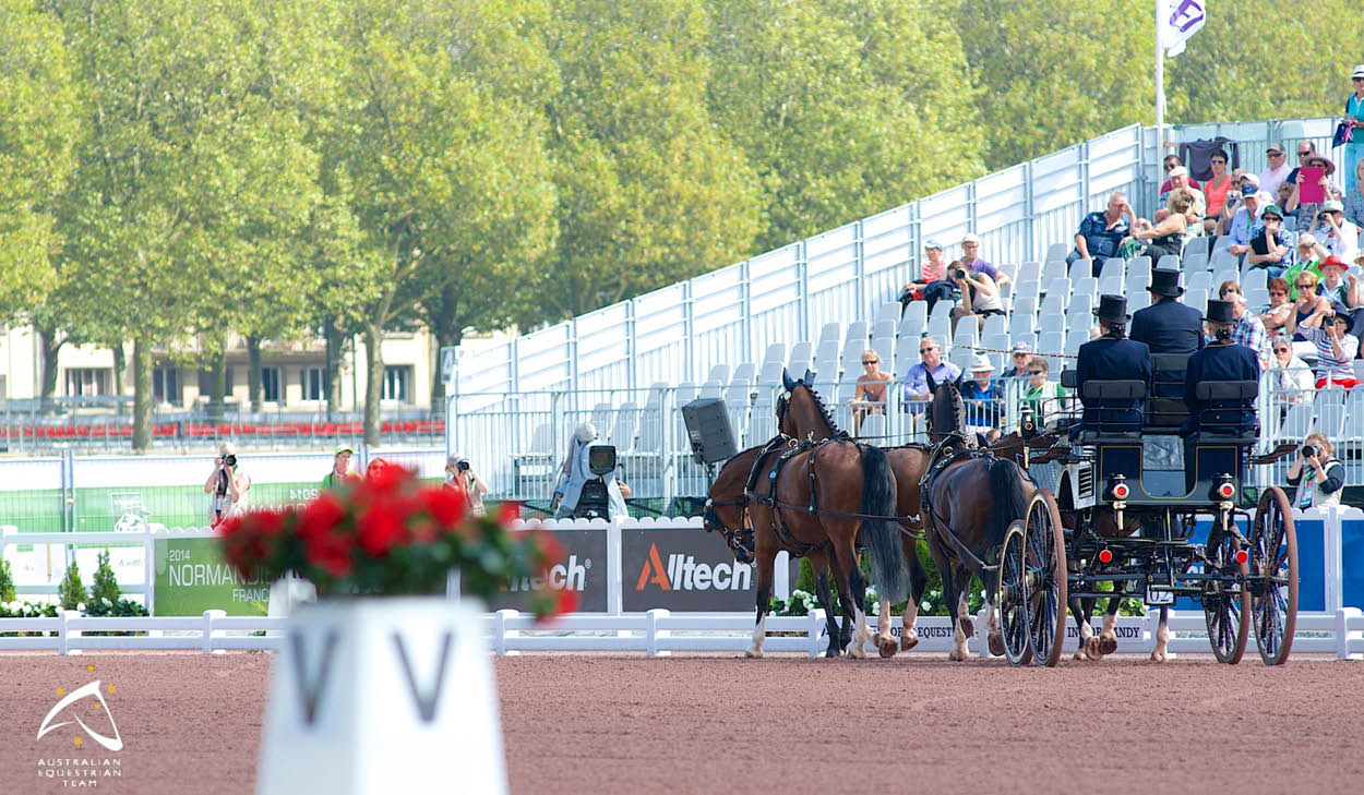 Gavin Robson | Equestrian Australia