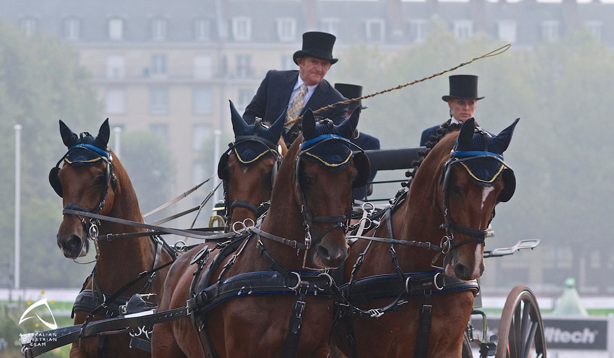 Gavin Robson completes the cones phase | Equestrian Australia