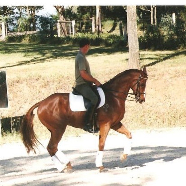 COACH OF THE MONTH Lucas Hurps | Equestrian Australia