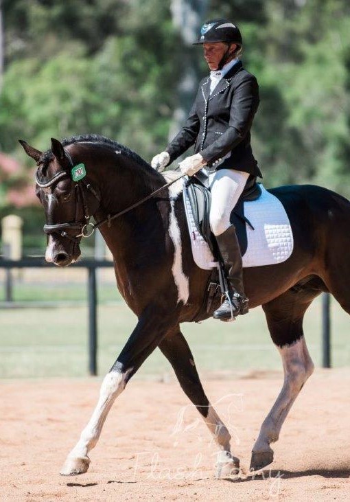 STALLION IDENTIFICATION Q&A | Equestrian Australia