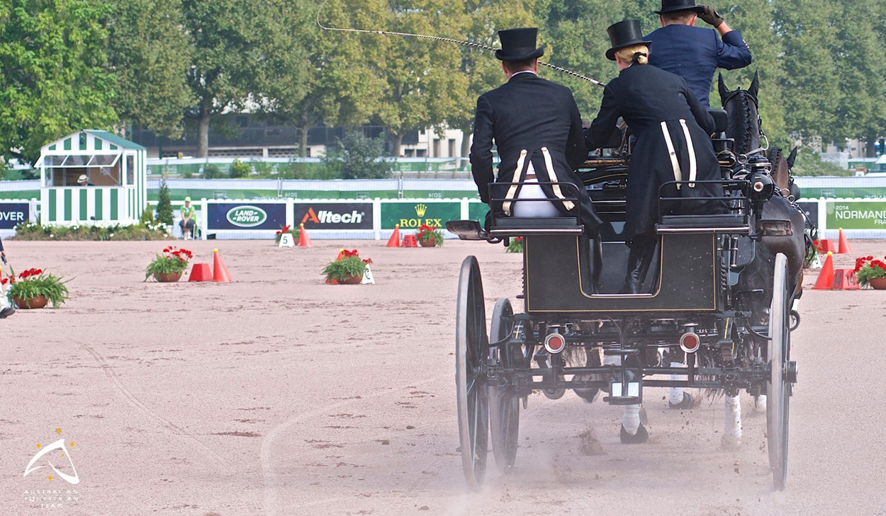 Final day of WEG at the Carriage Driving | Equestrian Australia