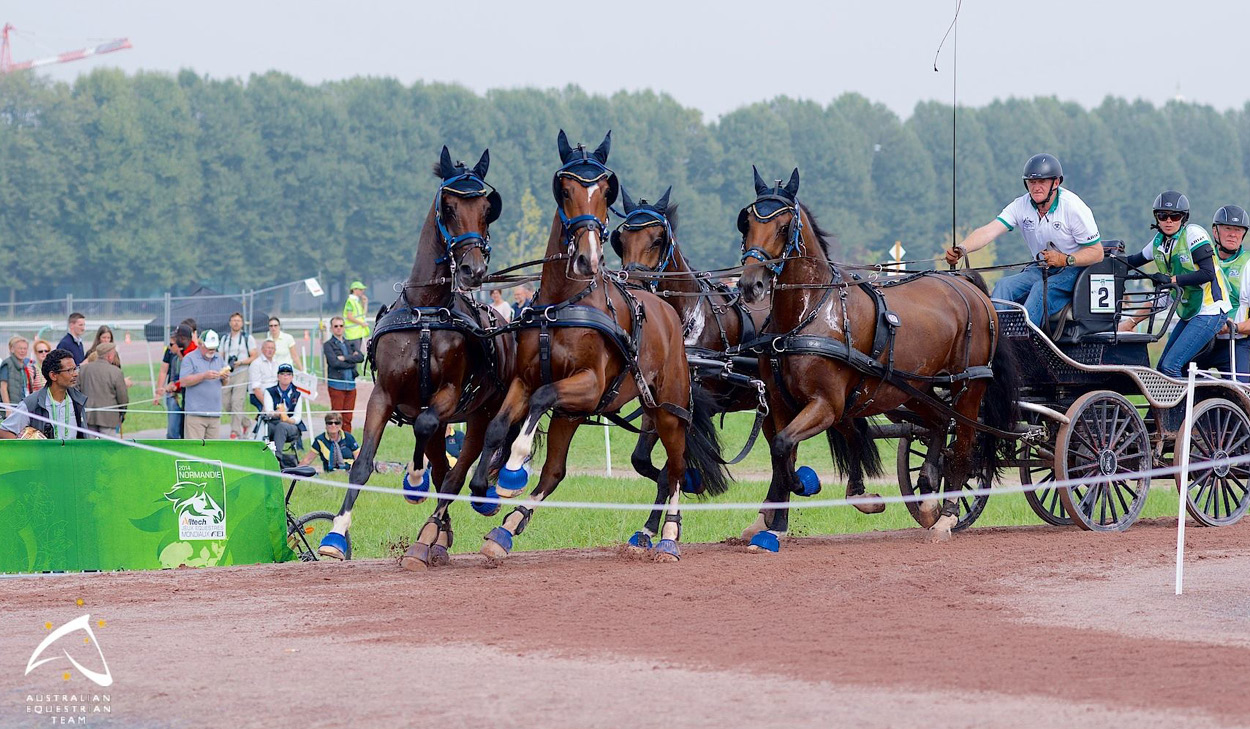 Gavin Robson | Equestrian Australia
