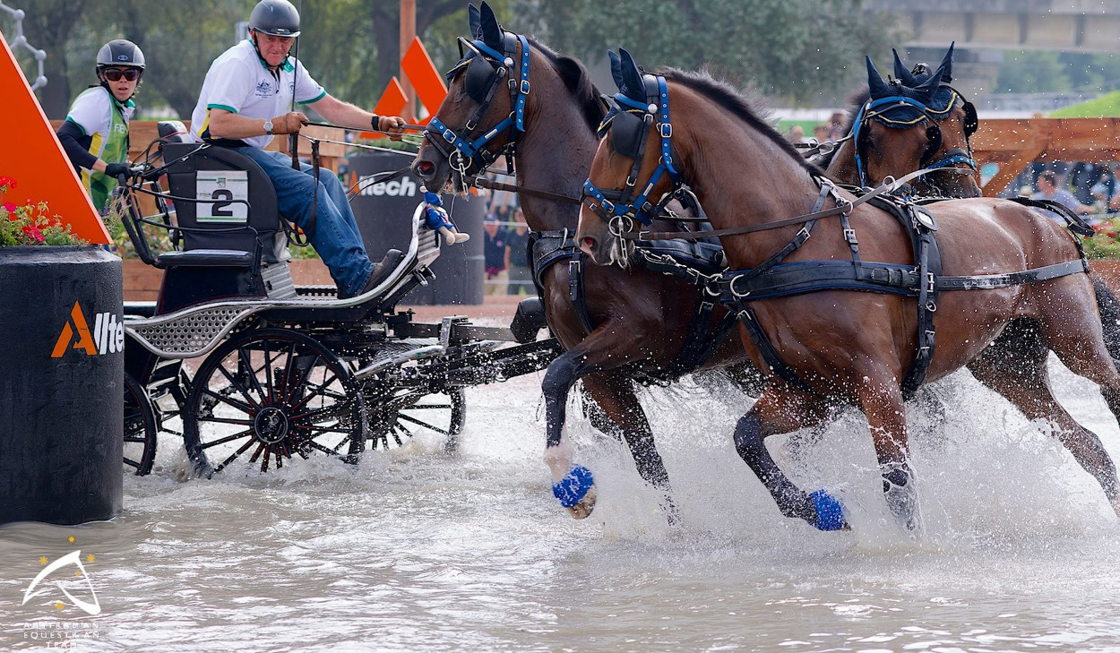 Gavin Robson | Equestrian Australia
