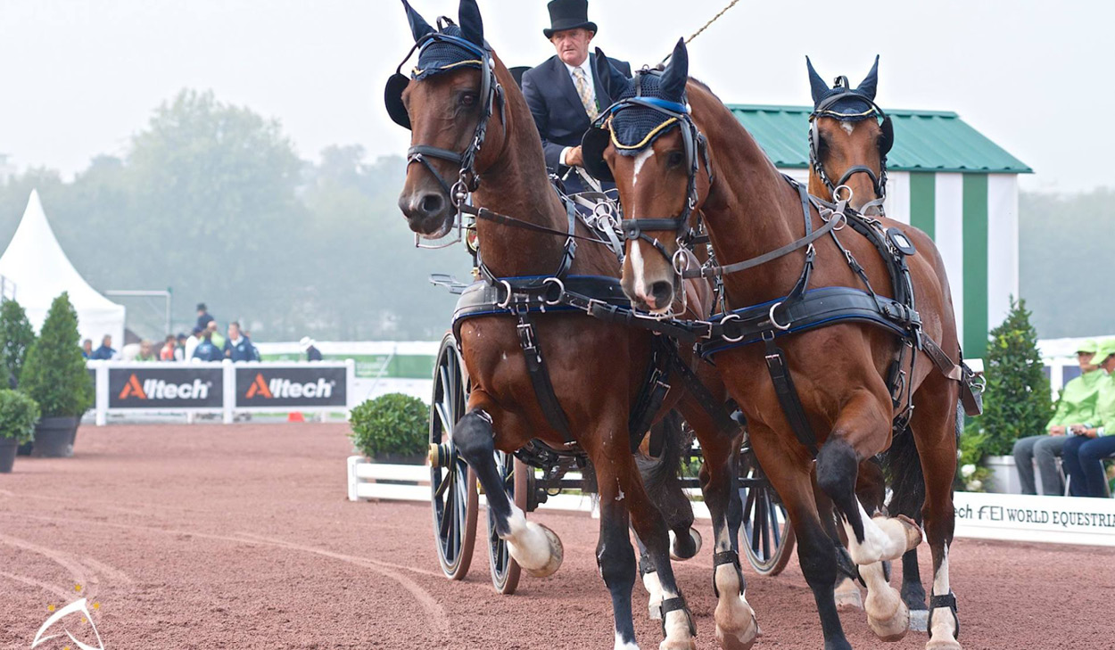 | Equestrian Australia