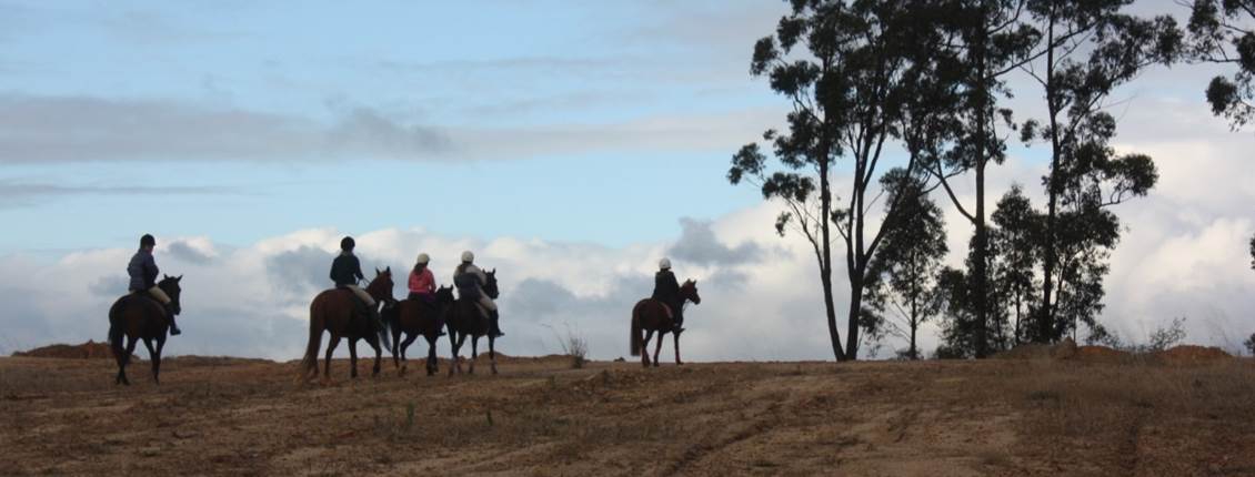 Clubs | Equestrian Australia
