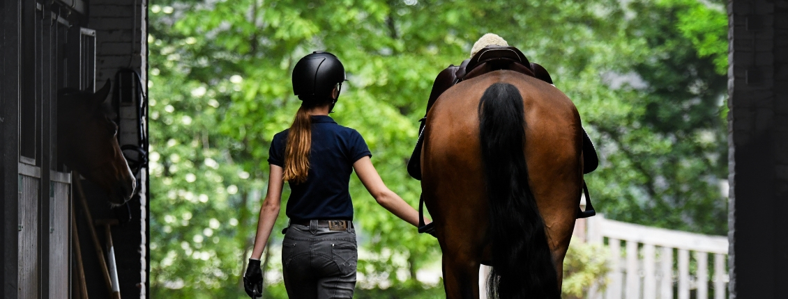Update to helmet standards | Equestrian Australia